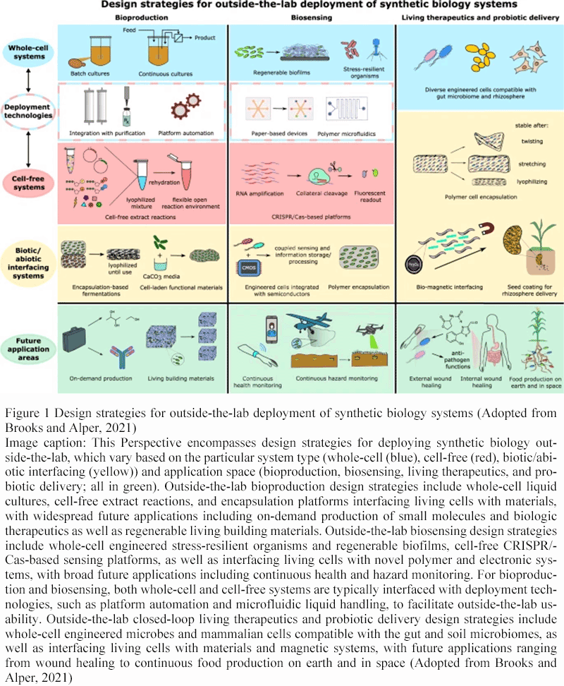 Ethical Challenges of Synthetic Biology: From Laboratory to Societal Applications | Zhan | GMO ...