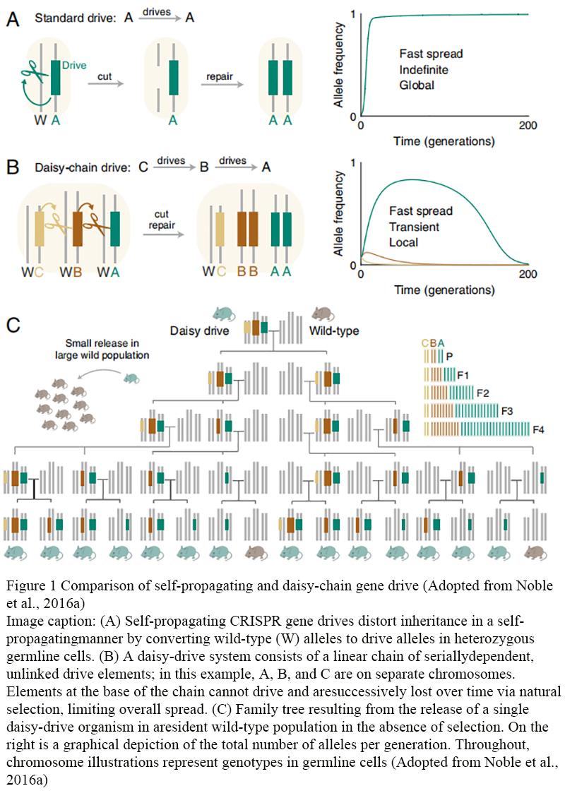Environmental Release of Gene Drive Systems: Ecological Risk Assessment ...