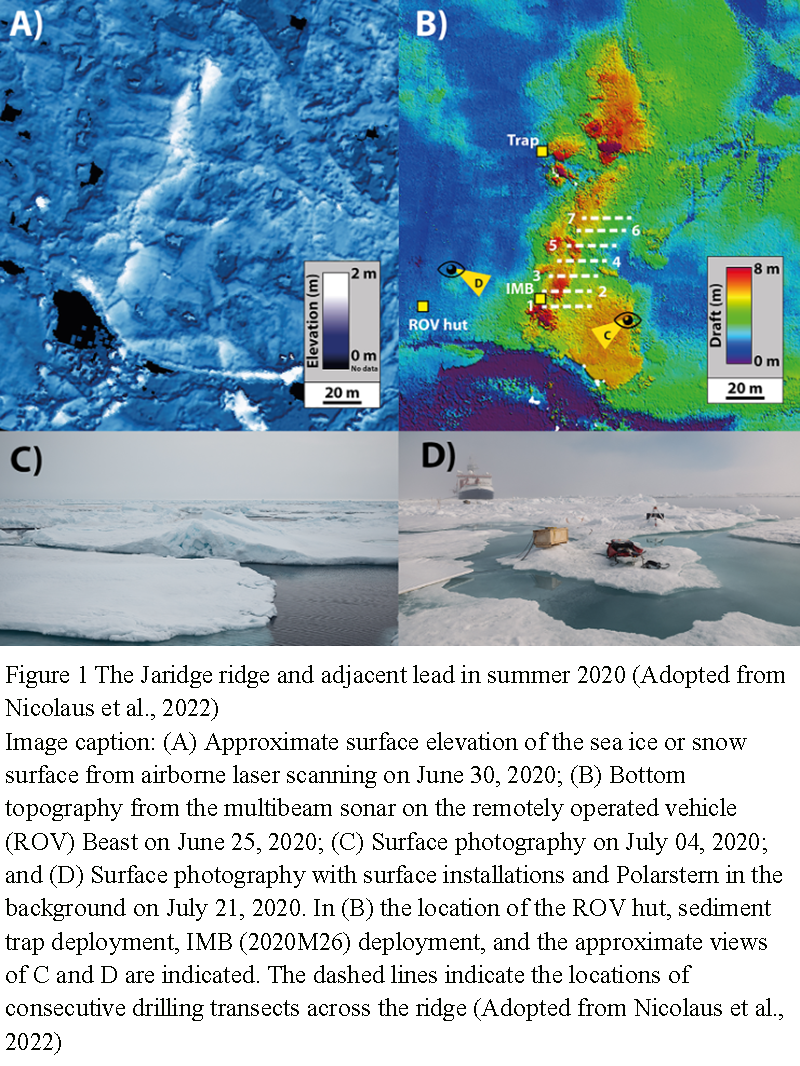 White Blanket: The Ecological Importance of Snowpack | He ...