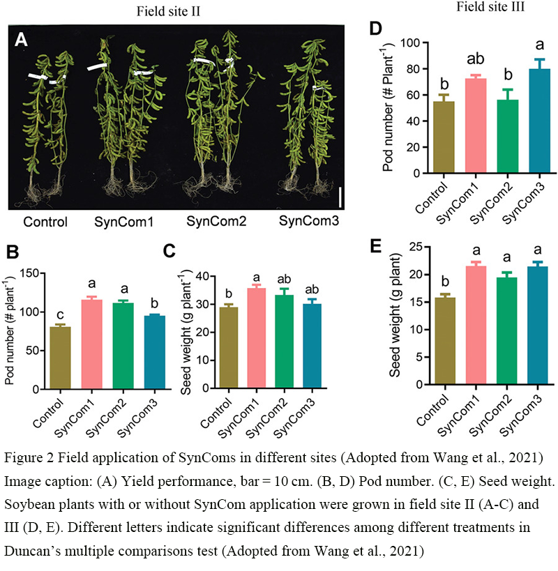 Risk Assessment and Communication Strategies for the Adoption of ...