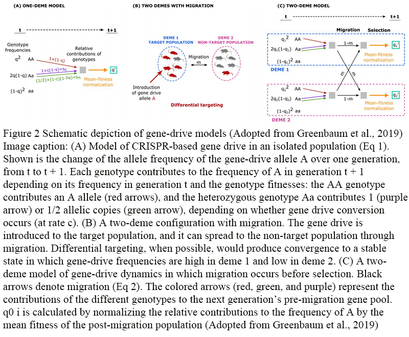 Environmental Release of Gene Drive Systems: Ecological Risk Assessment ...