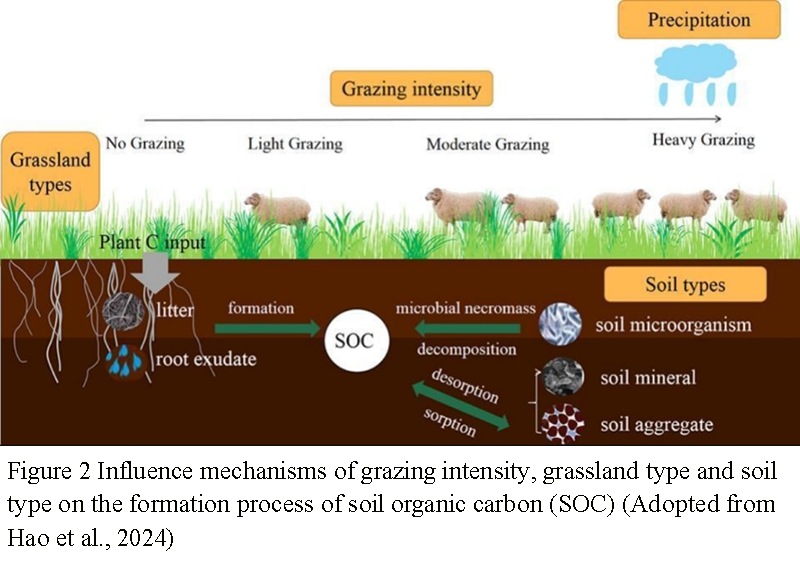 Nutrient Cycling and Decomposition Processes in Grassland Ecosystems ...