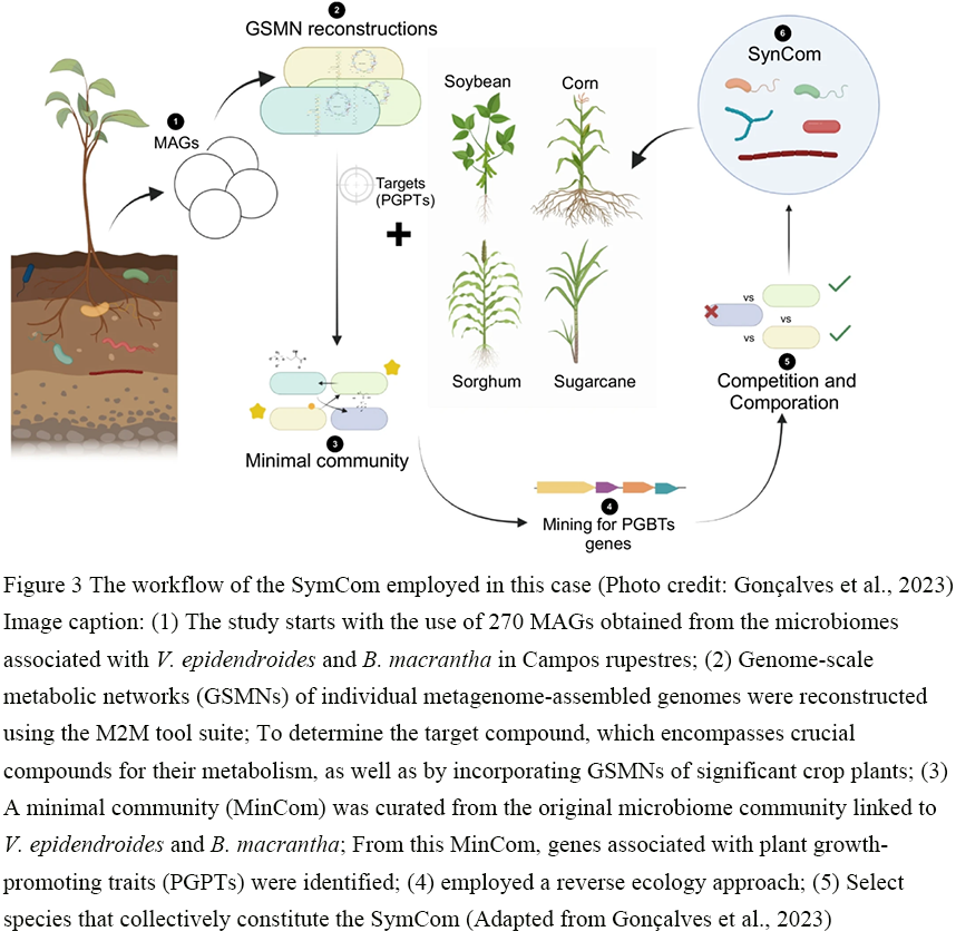 Risk Assessment and Communication Strategies for the Adoption of ...